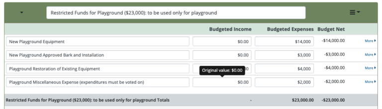 Handling Restricted Funds - MoneyMinder
