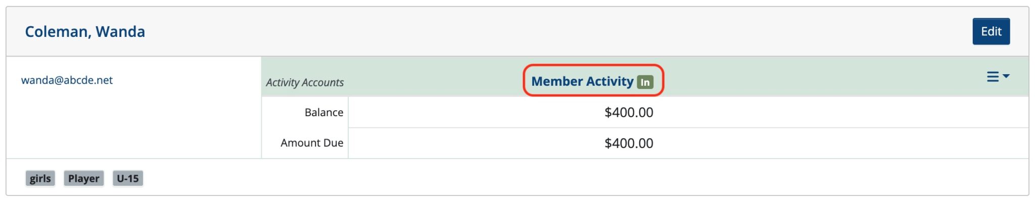Statement Templates - MoneyMinder
