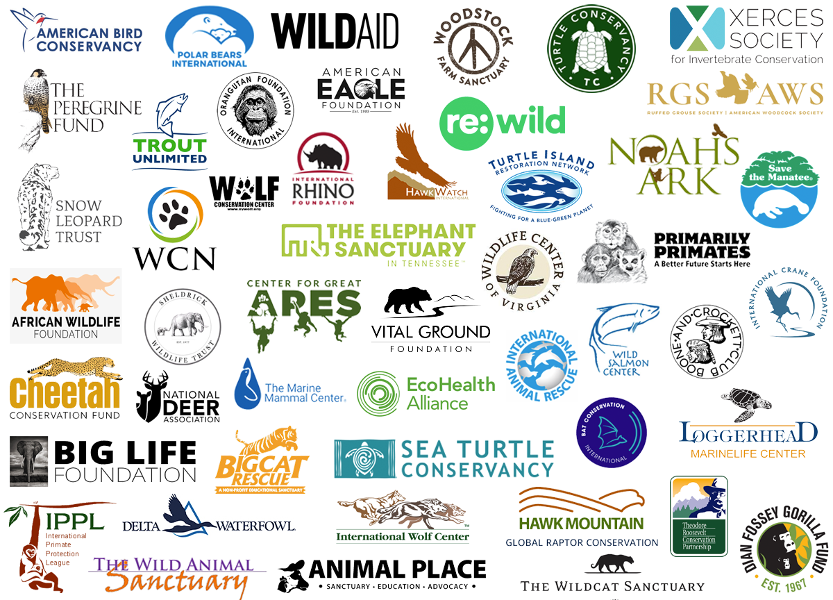 Top 50 Animal Nonprofits with a Great Reputation - MoneyMinder