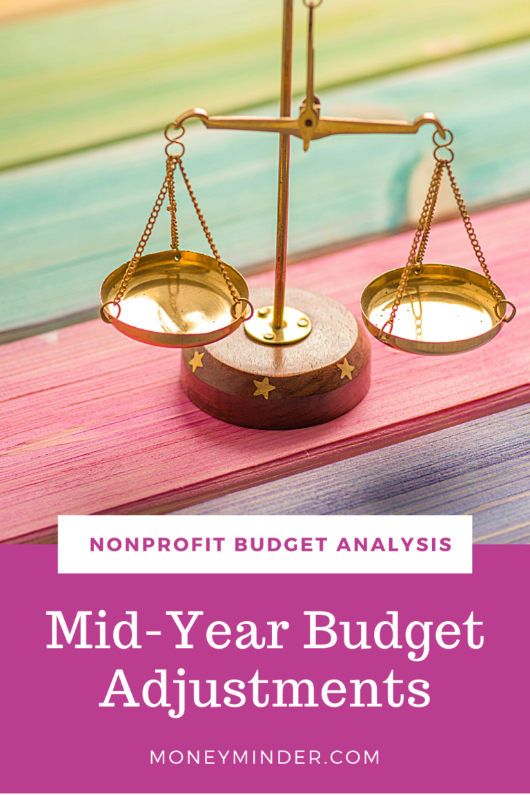Making Adjustments Mid-Year Based on a Budget Analysis - MoneyMinder