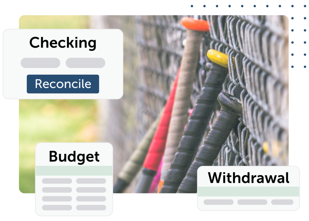 Baseball Accounting Software - MoneyMinder
